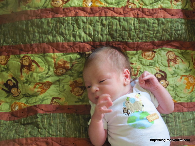 Caleb with Monkey quilt-1 – Making Scrap Quilts from Stash