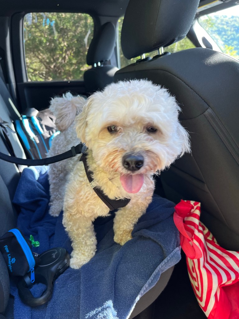 Finn – Making Scrap Quilts from Stash